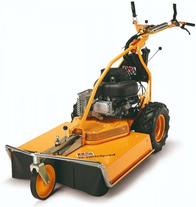 AS Motor AS 65 4T B&S | ELVA PROFI